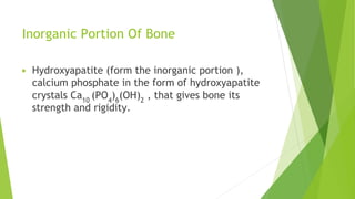 Comonent of bone | PPT