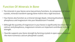 Comonent of bone | PPT