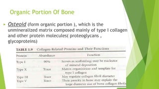 Comonent of bone | PPT