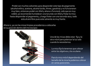 Como polarizar un microscopio | PDF