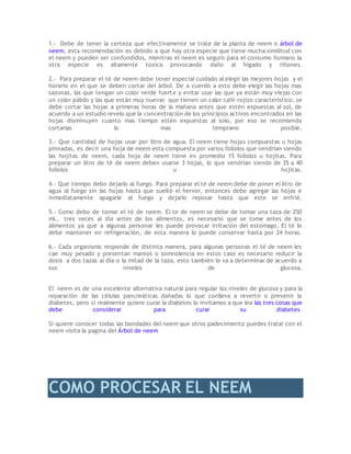 Como preparar té de neem | DOCX