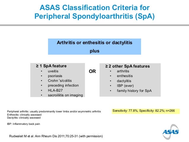 Comorbidities in spondyloarthritis 23.01.2014