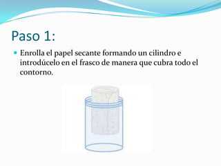 Como realizar un germinador | PPTX
