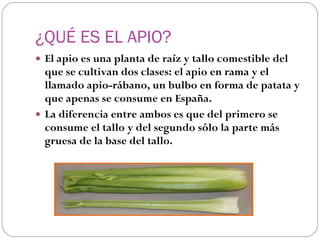 Como sembrar hortalizas | PPT