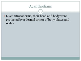 Comp.ana. ostracoderms,acanthodians,placoderms | PPTX