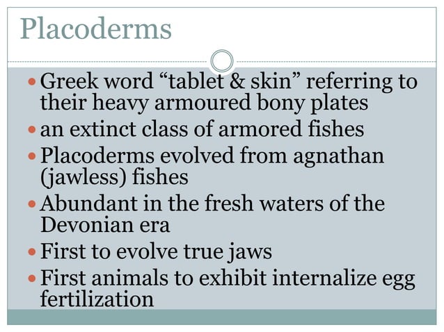 Comp.ana. ostracoderms,acanthodians,placoderms | PPTX | Fish and ...
