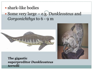 Ostracoderms And Placoderms