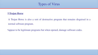 Computer Introduction (Computer Viruses )-Lecture04 | PPT