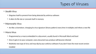 Computer Introduction (Computer Viruses )-Lecture04 | PPT