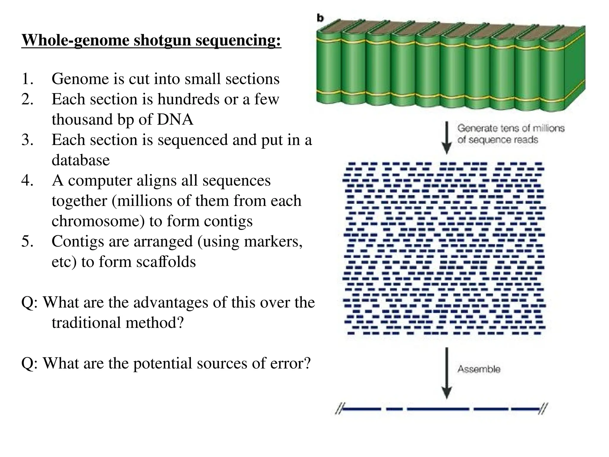 what is comparitive genomics presentation | PPT