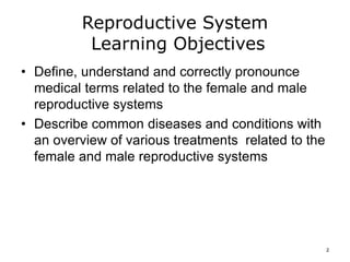 Reproductive System lecture B slides | PPT