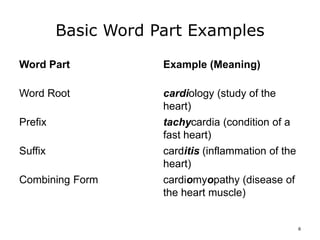Word Roots | PPTX