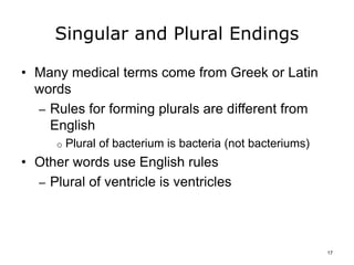 Prefixes and Suffixes | PPTX