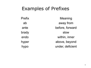 Prefixes and Suffixes | PPTX
