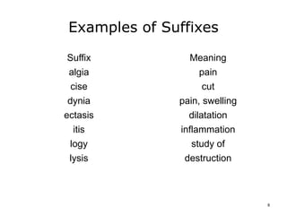 Prefixes and Suffixes | PPTX