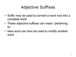 Understanding Medical Words- Lecture B slides | PPTX