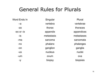 Understanding Medical Words- Lecture B slides | PPT