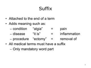 Understanding Medical Words- Lecture B slides | PPTX