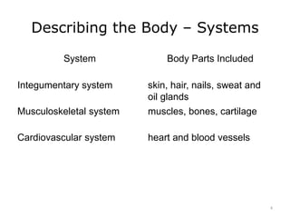Body Organization | Lecture C | PPT