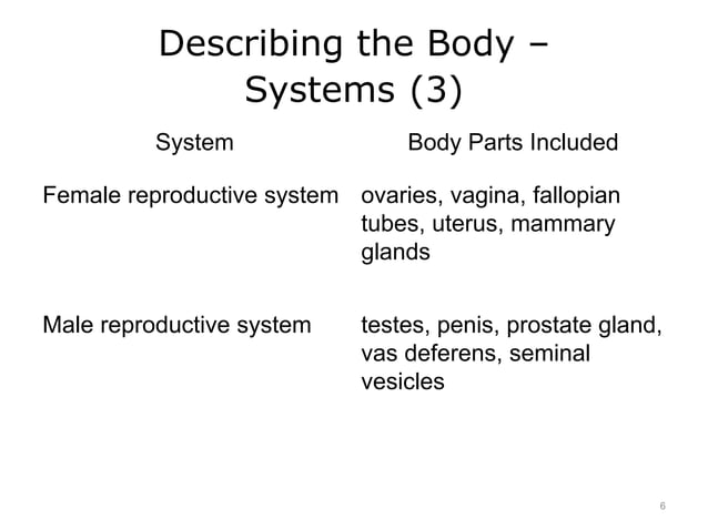 Body Organization | Lecture C | PPT