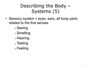 Body Organization | Lecture C | PPT