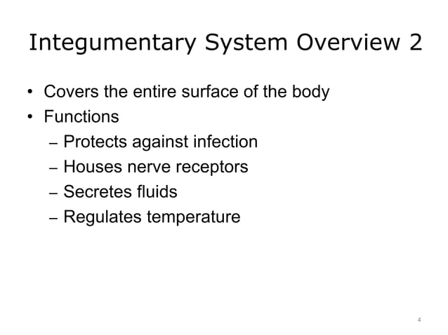 Integumentary System -Lecture A slides | PPT