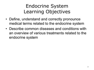 Endocrine System lecture A slides | PPTX