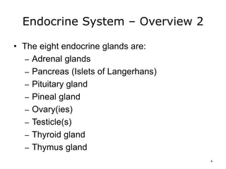 Endocrine System lecture A slides | PPTX