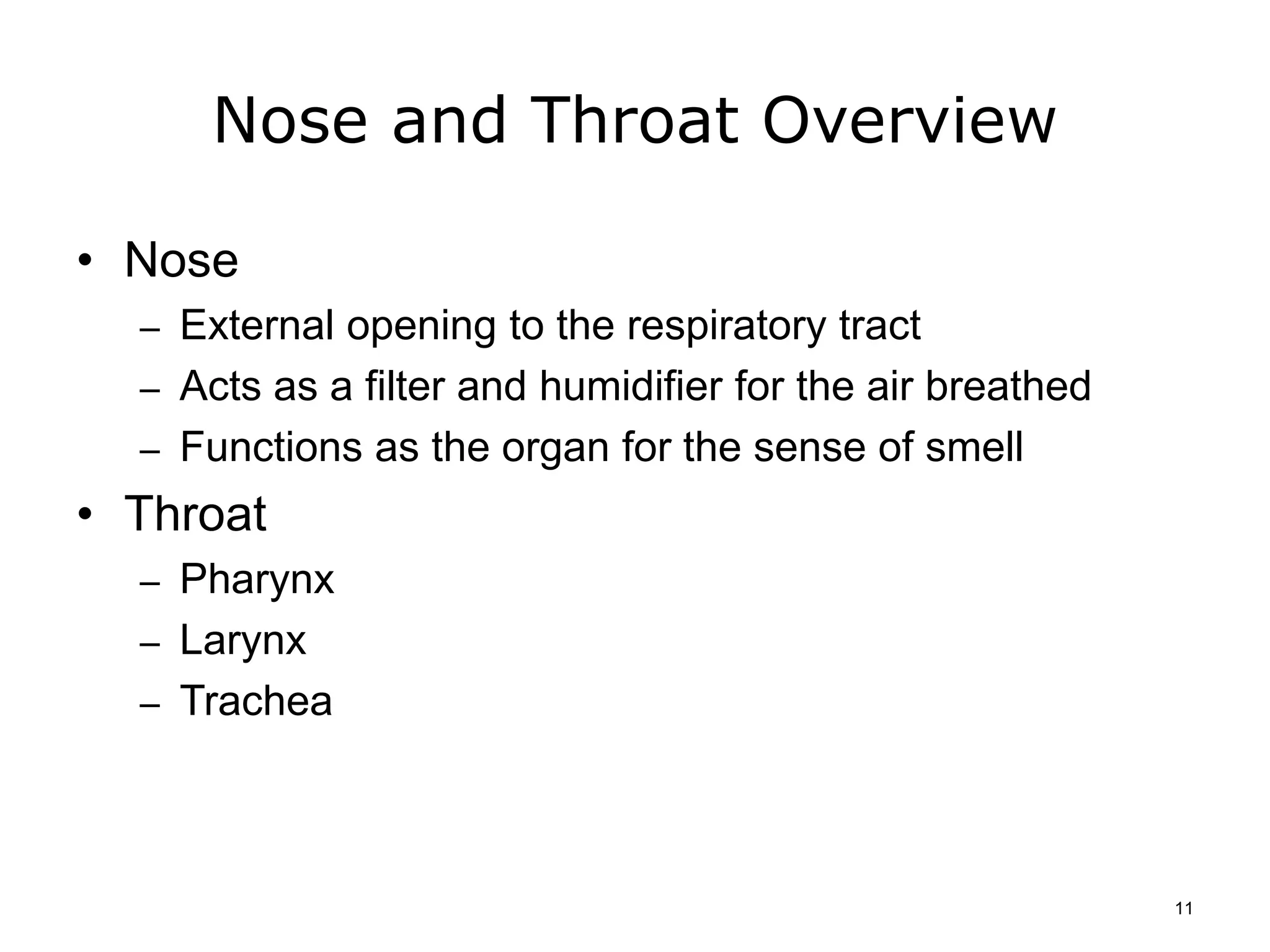 Ears, Nose, Throat, Eye and Vision lecture A slides | PPTX