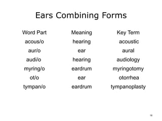 Ears, Nose, Throat, Eye and Vision lecture A slides | PPTX