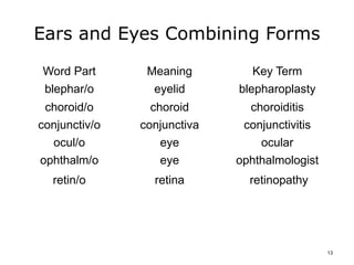 Ears, Nose, Throat, Eye and Vision lecture slides | PPTX