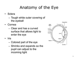 Ears, Nose, Throat, Eye and Vision lecture slides | PPTX