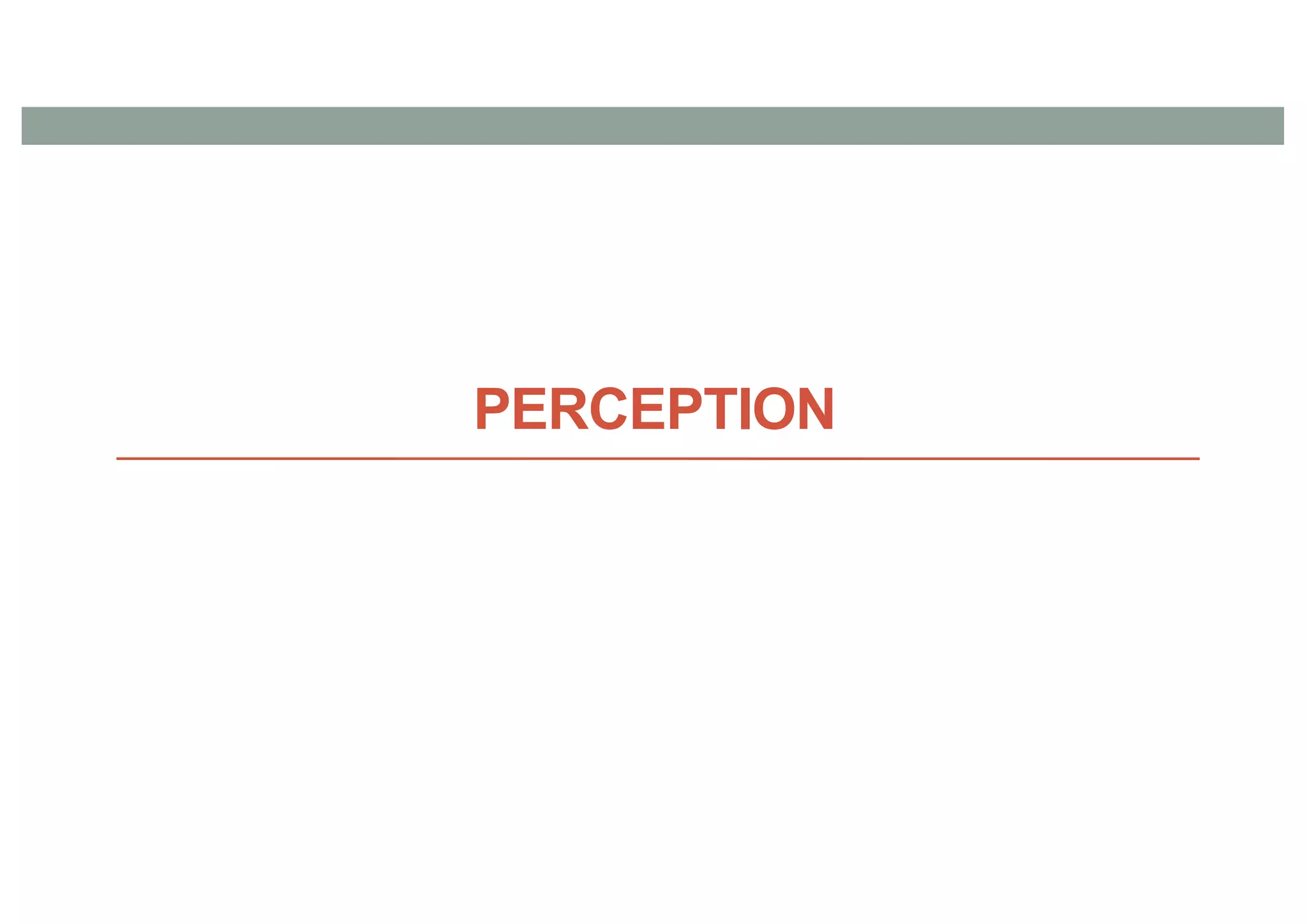 2022 COMP4010 Lecture2: Perception | PPT