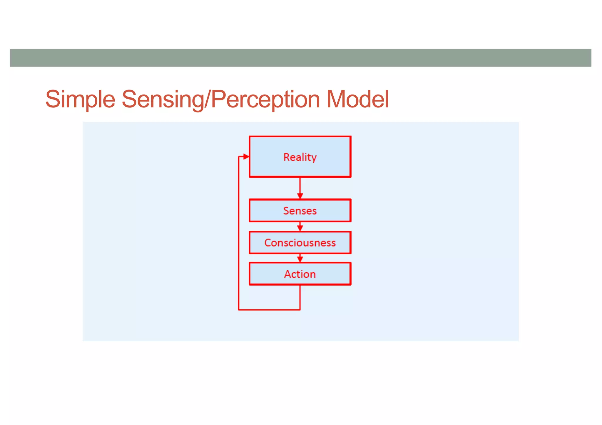 2022 COMP4010 Lecture2: Perception | PDF