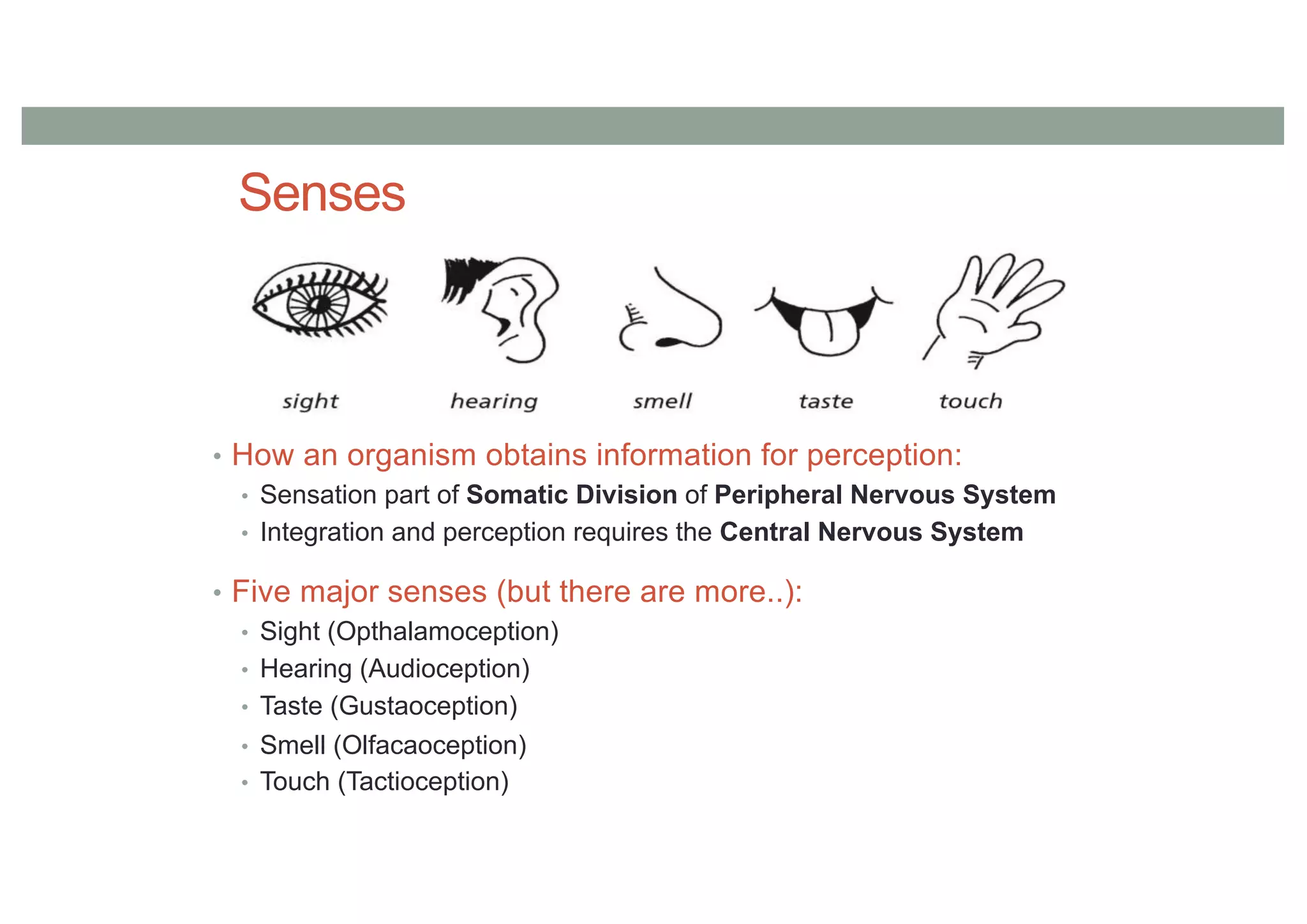 2022 COMP4010 Lecture3: AR Technology | PPT