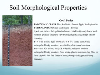 Compaction susceptibility of selct alabama kanhapludults | PPTX