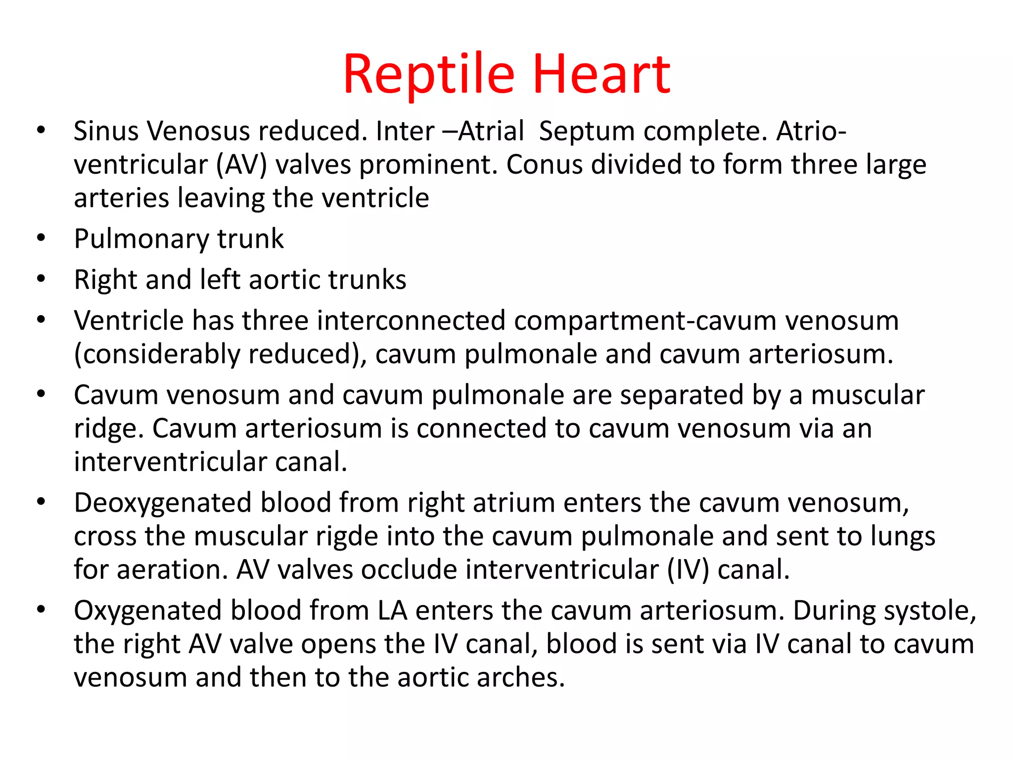 Comp anatomy of heart | PDF