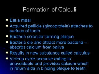 Companion Animal Dentistry Kk | PPT