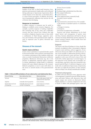 GIT disease in rabbits (1) | PDF