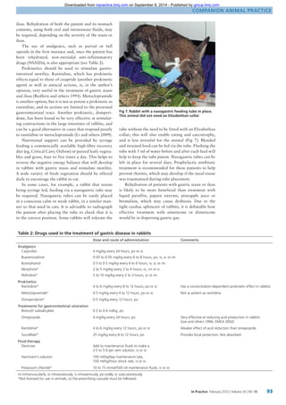 GIT disease in rabbits (1) | PDF