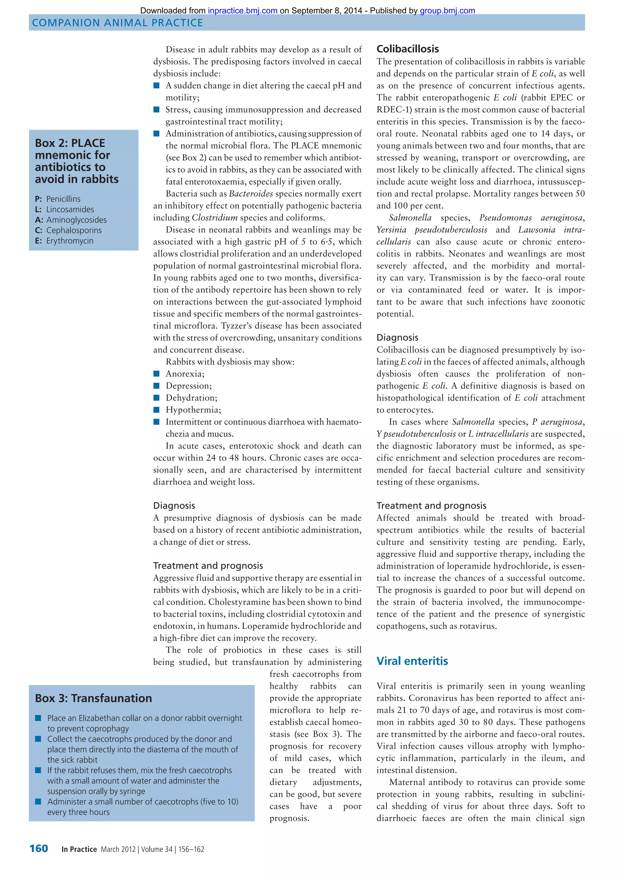 GIT disease in rabbits (2) | PDF