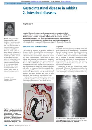 GIT disease in rabbits (2) | PDF