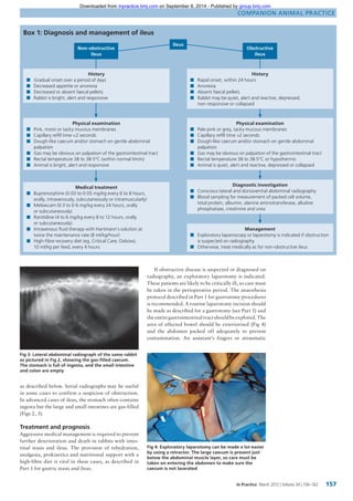 GIT disease in rabbits (2) | PDF