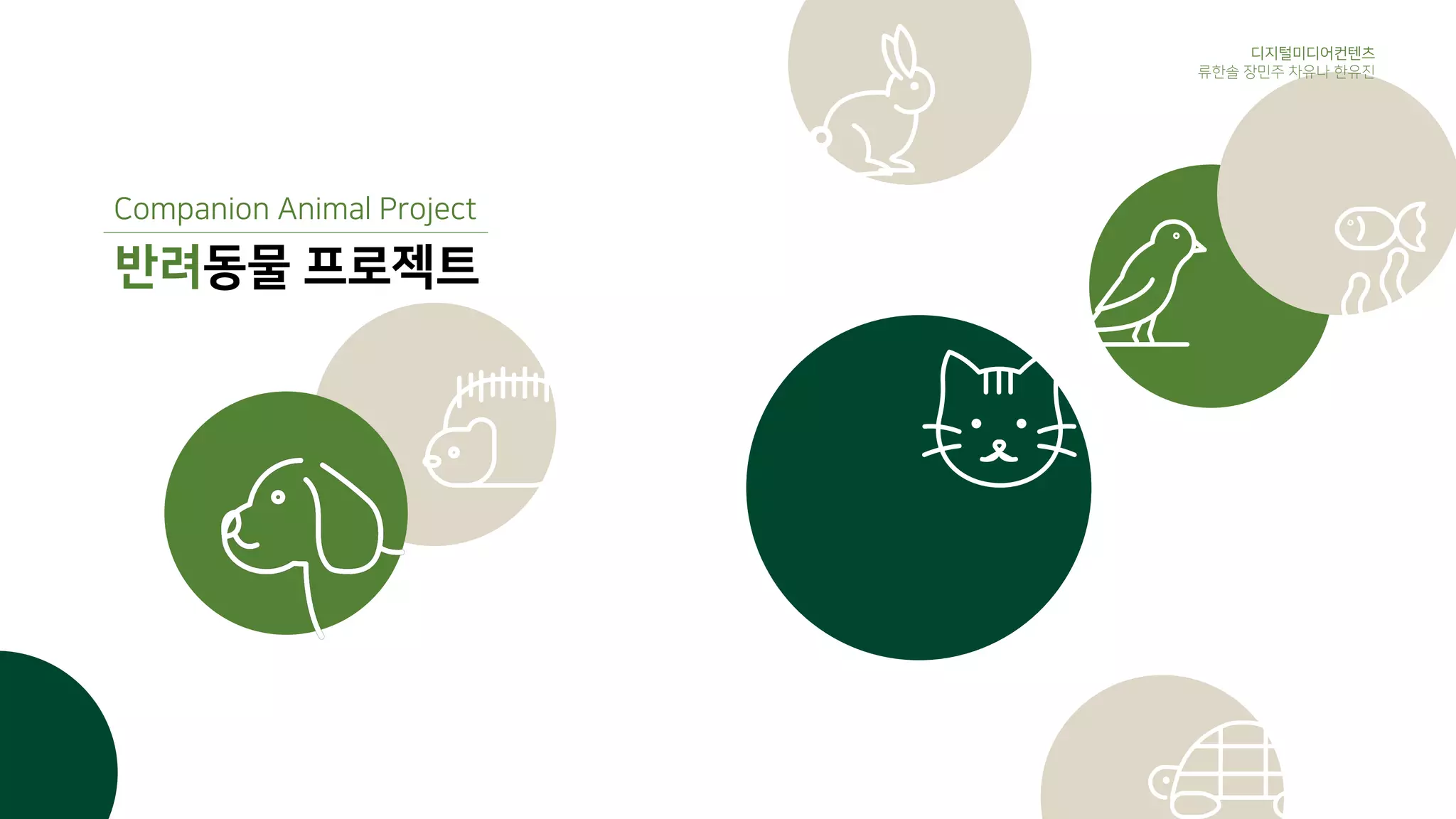 Companion animal project 191001 | PDF