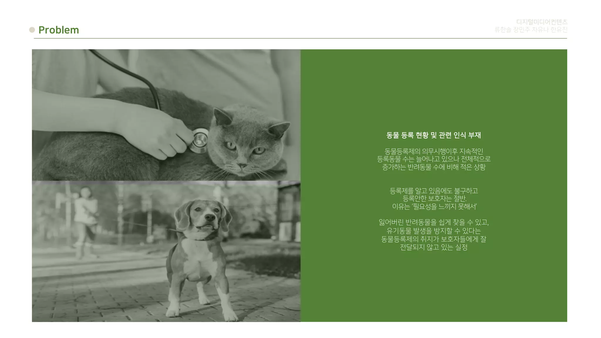 Companion animal project 191001 | PDF