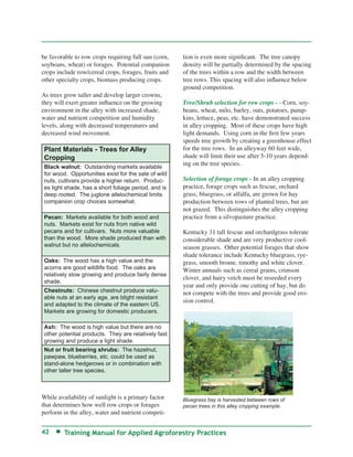 Alley Cropping in Agro Forestry - University of Missouri | PDF