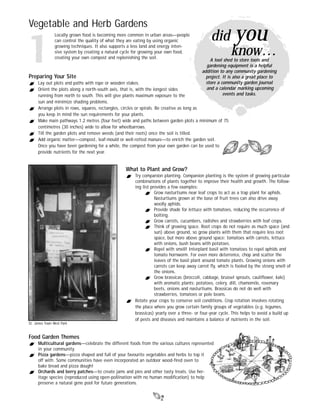 Community Gardens: Themes and Ideas | PDF