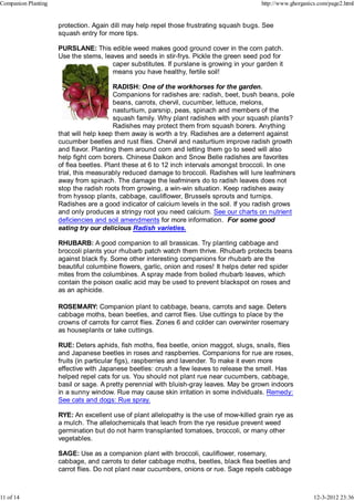 Companion Planting - Golden Harvest | PDF