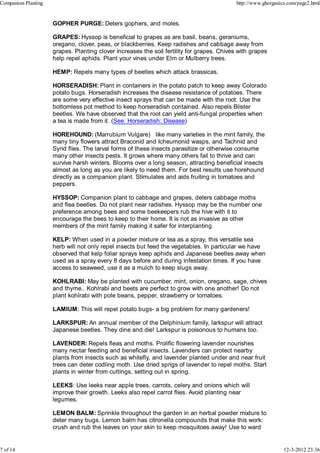 Companion Planting - Golden Harvest | PDF