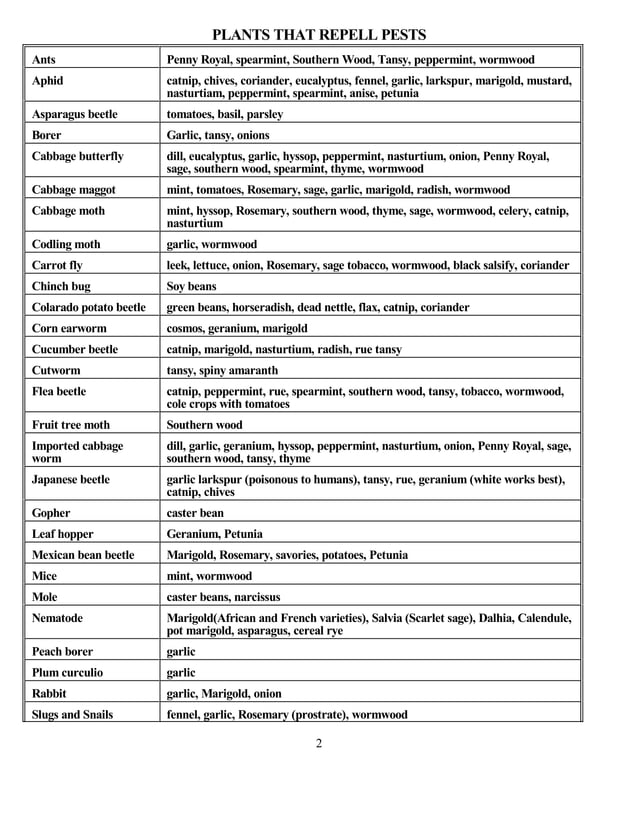 Companion Planting - Tarrant County, Texas Cooperative Extension | PDF